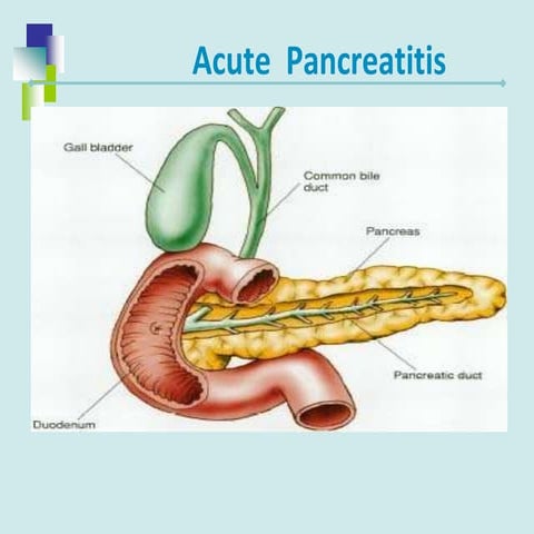 acute pancreatitis.ppt