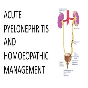 Pyelonephritis, ACUTE PYELONEPHRITIS, CHRONIC PYELONEPHRITIS,
