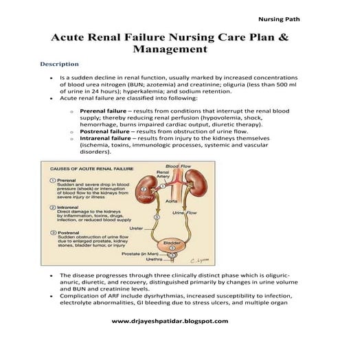 Acute renal failure nursing care plan & management | PDF