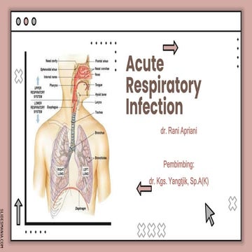 Acute Respiratory Infection Acute Respiratory Infection | PPTX