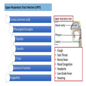 Upper Respiratory Tract Infection