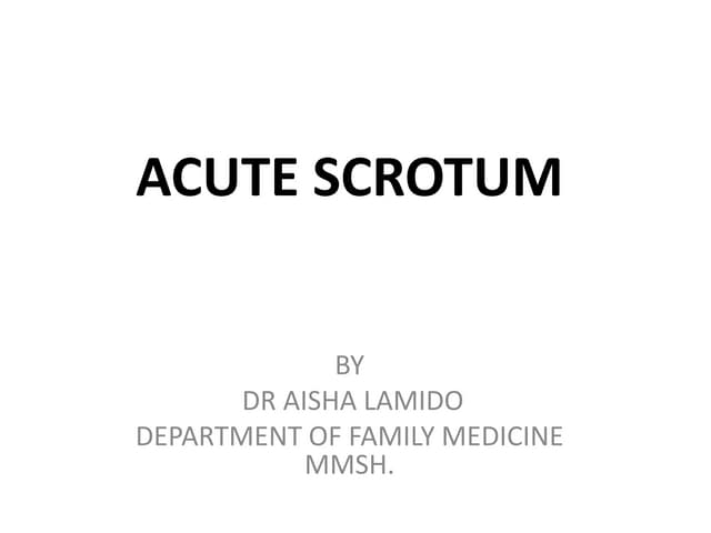 Anatomy of the scrotum | PPTX | Infertility | Reproductive Health