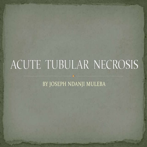 Acute Tubular Necrosis | PPTX