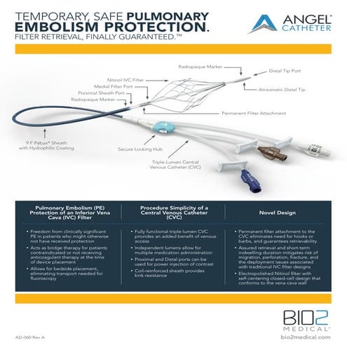 Angel Catheter Product Data Sheet | PDF