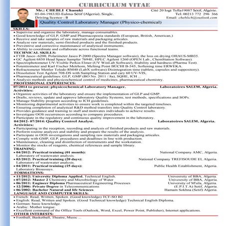 ENGLISH CV | PDF