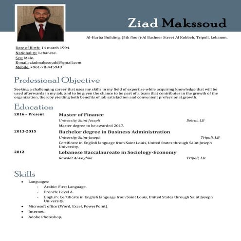 cv ziad | PDF