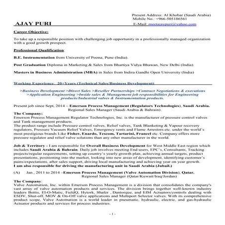 Ajay_Puri's_updated Resume | PDF