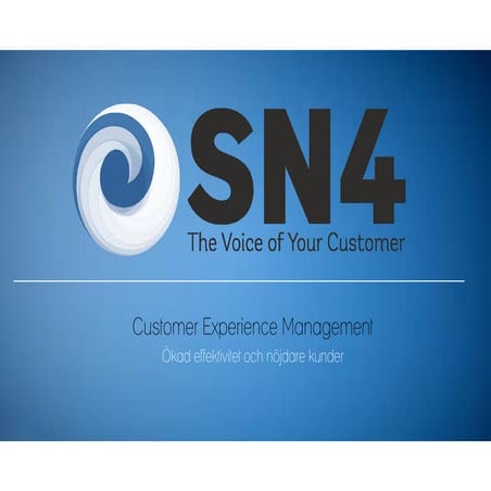 SN4 Customer Experience Management | PDF