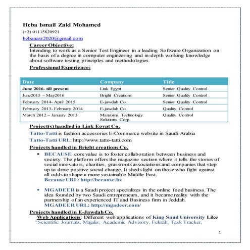 Heba Ismail CV | DOCX
