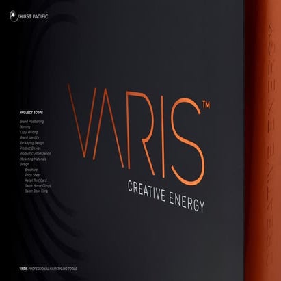 VARIS New | PDF | Business | Business and Finance