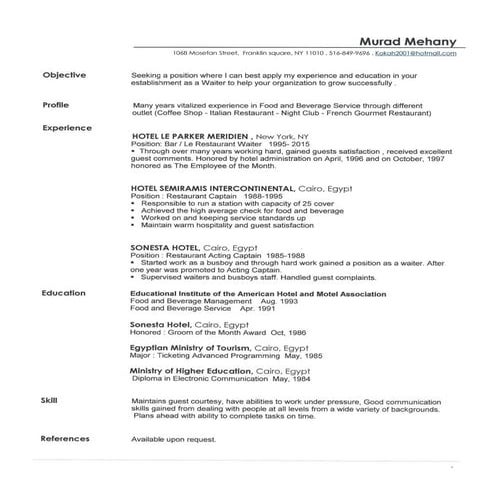 MURAD RESUME | PDF