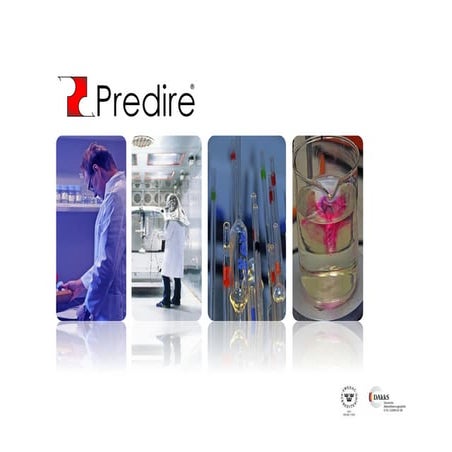 Predire presentation Shanghai - Automotive 2016 | PDF | Automotive ...