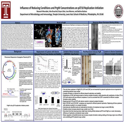 Research Project | PPT