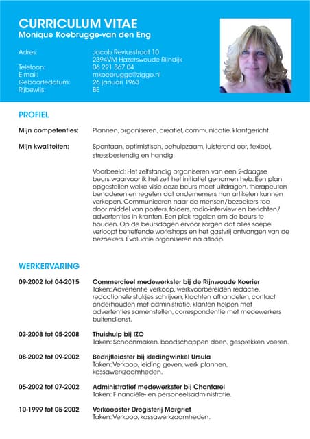 CV Joris Beugels | PDF