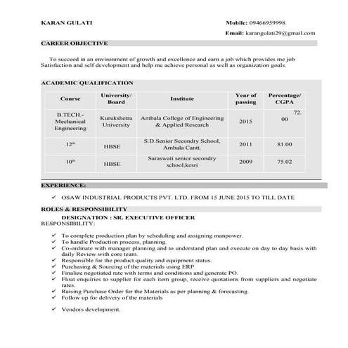 RESUME of KARAN (2) | DOC