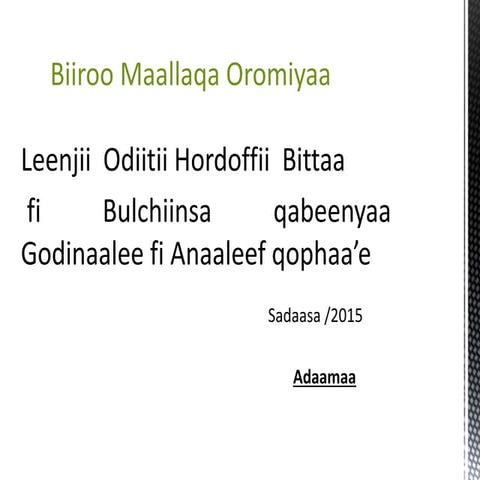 Adaamaa power point 2015 Efa (1).pptx