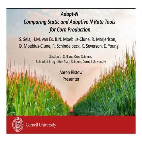 Adapt n comparing static - ristow | PDF