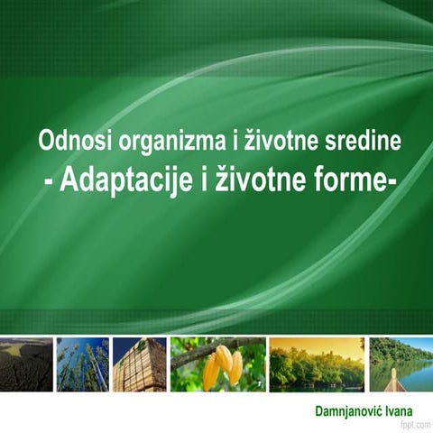 Fotosinteza, disanje i transpiracija | PPTX