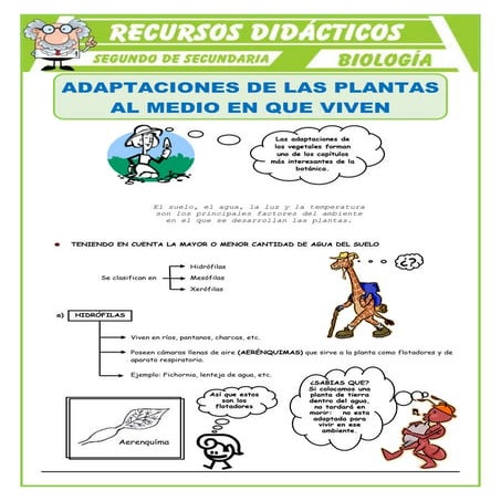 Hoja De Trabajo Sobre Adaptaciones De Las Plantas Cómo Pasan La Sed