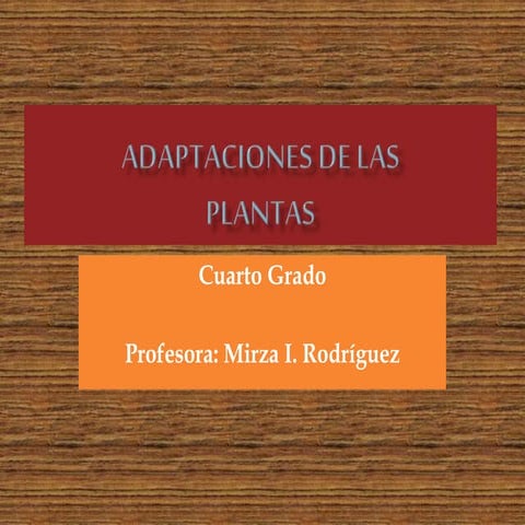 Adaptaciones de las plantas | PPTX