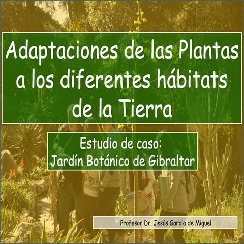Las adaptaciones de las plantas a diferentes tipos de Biomas terrestres ...