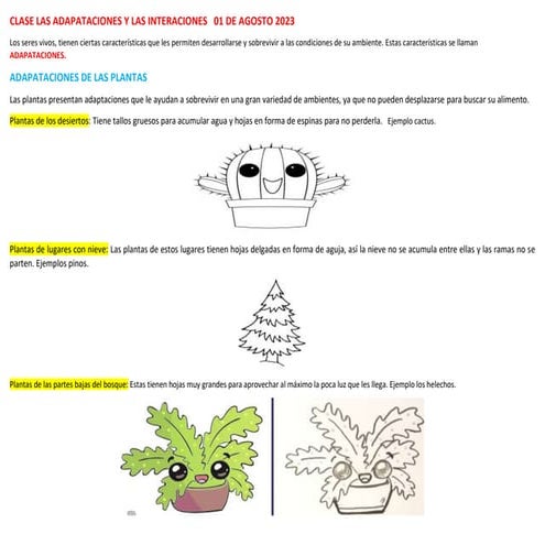 Hojas De Trabajo Sobre Adaptaciones De Plantas Biología Y Geología