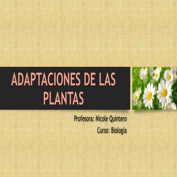 Adaptaciones de las plantas | PPTX
