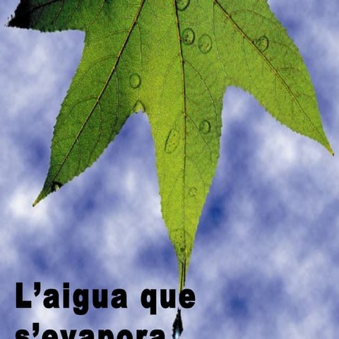 Adaptacions a la sequera | PPT