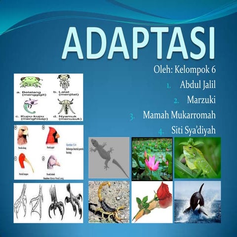 Adaptasi | PPTX