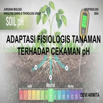 Adaptasi Tanaman terhadap Cekaman pH.pdf