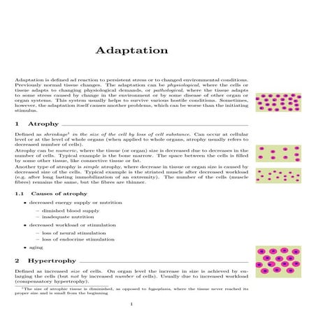 Adaptation | PDF