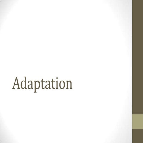 Adaptation | PPTX