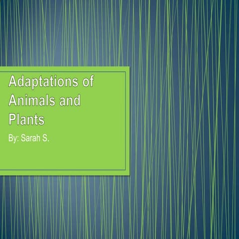 Adaptation by: Sarah | PPTX | Biological Sciences | Science