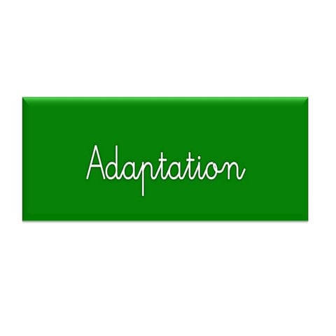 Adaptation | PPT