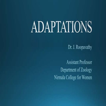 Adaptation | PPTX