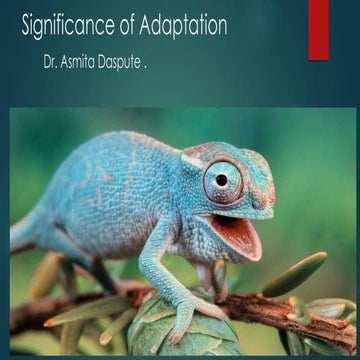 Stimulus And Response | PPT