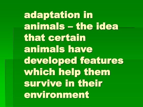 Wild and domestic animals. Habitats. | PPTX
