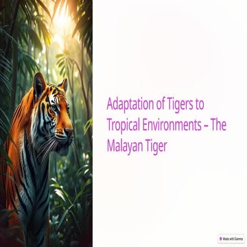 Adaptation-of-Tigers-to-Tropical-Environments-The-Malayan-Tiger.pptx