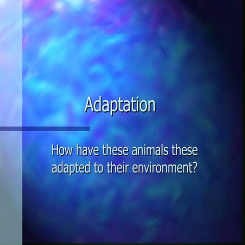 Adaptation | PPT