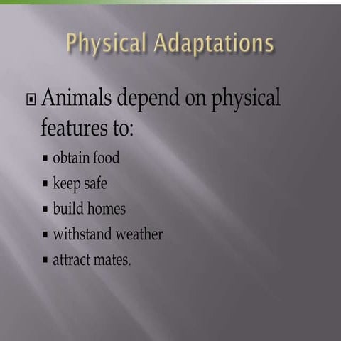 Adaptation and selective breeding | PPTX