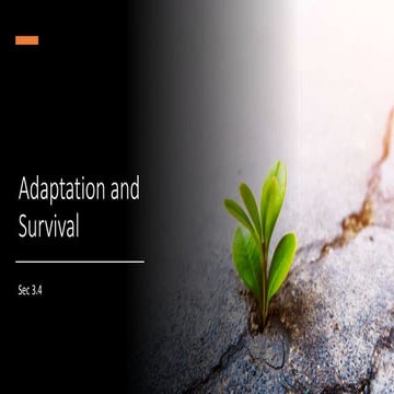 Adaptation and survival.pptx