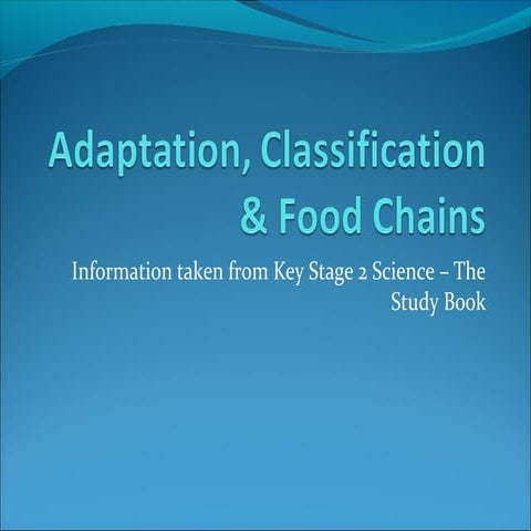 Adaptation, Classification & Food Chains | PPT | Food & Drink