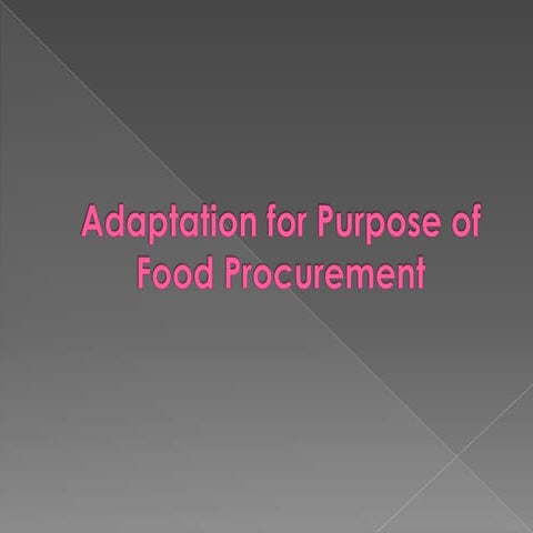 Adaptation for purpose of food procurement | PPT