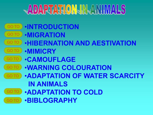 Camouflage and Mimicry | PPTX