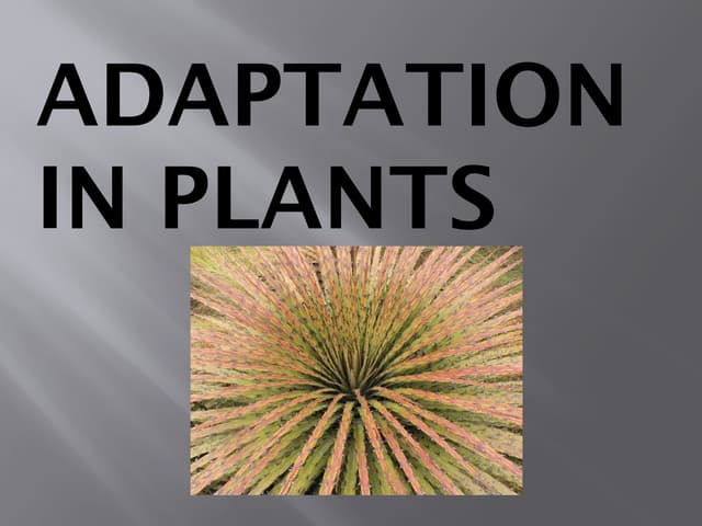 Plants adaptations presentation for kids | PPT