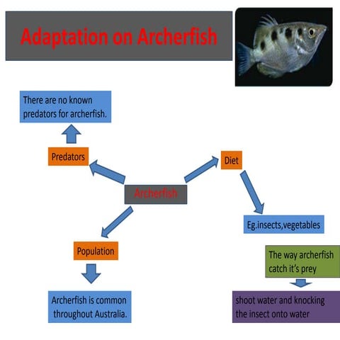 Adaptation on chimpanzee | PPTX