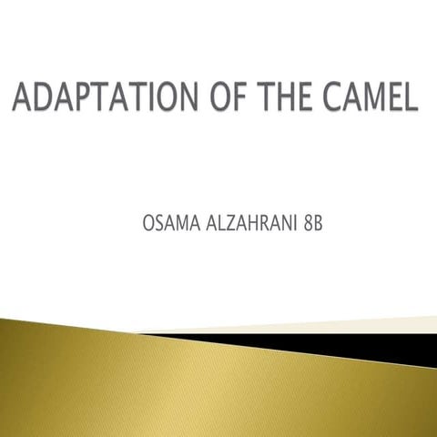 Adaptation of camels For grade 8 | PPTX
