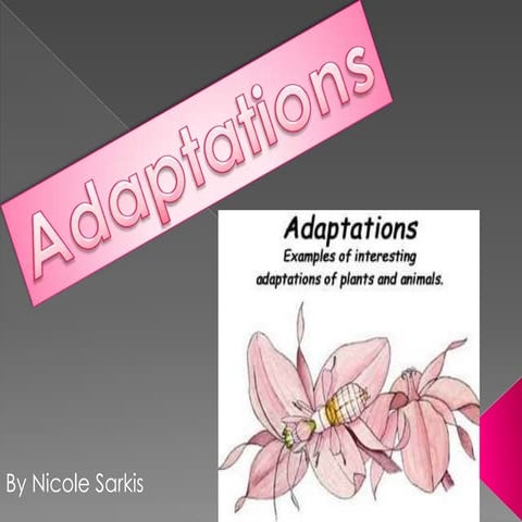 Adaptations | PPT