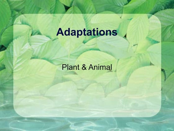BIOLOGY INVESTIGATORY PROJECT ON ADAPTATION IN ANIMALS AND PLANTS | PDF | Geography | Science