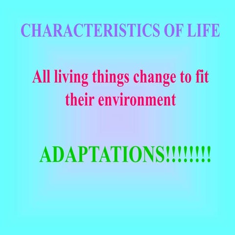 Animal and Plant Adaptations | PPT